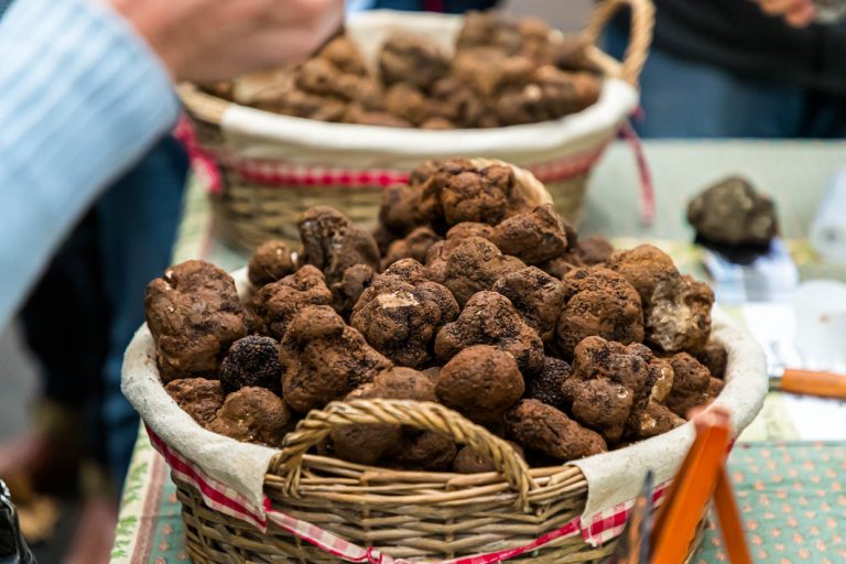 Winter truffle with chefs of Provence - Tellerrand-Stories in English
